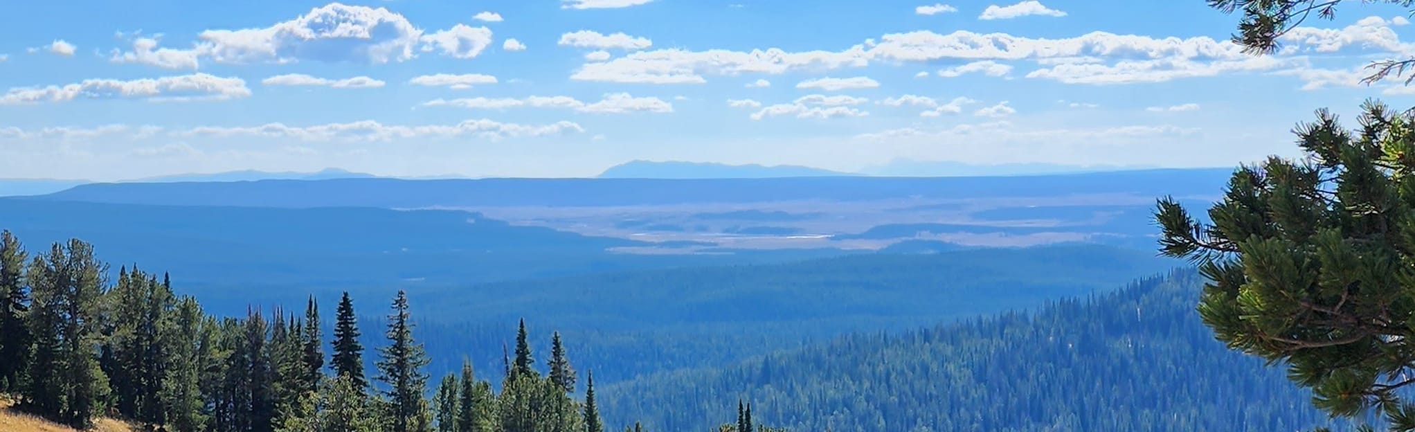 Dunraven Pass to Mount Washburn: 1,400 Reviews, Map - Montana | AllTrails