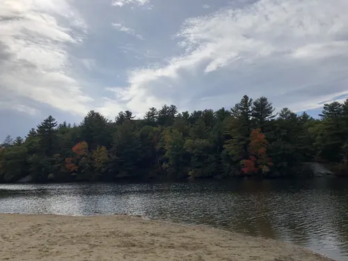 Best 10 Hikes and Trails in Breakheart Reservation | AllTrails