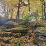 Jakes Rock Overlook, Pennsylvania - 186 Reviews, Map | AllTrails