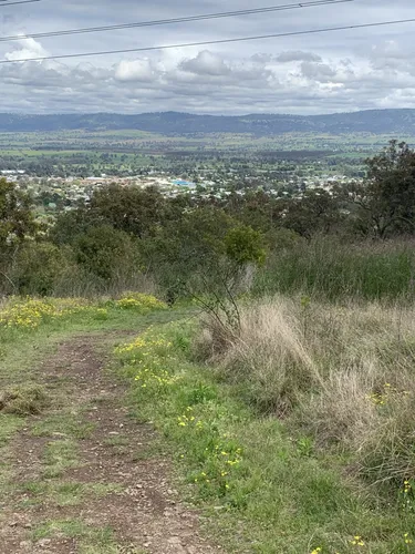 Best Hikes and Trails in Scone Mountain National Park | AllTrails