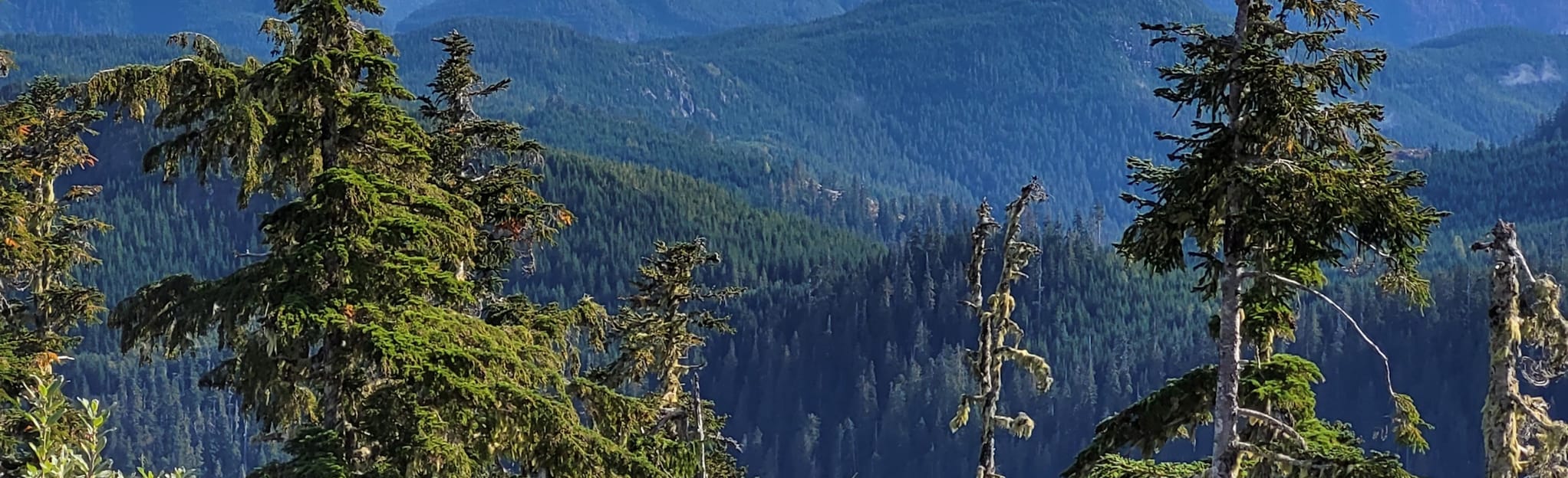 Mount Bolduc, British Columbia, Canada - 17 Reviews, Map | AllTrails