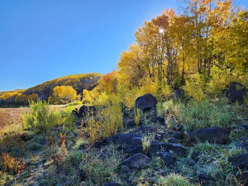 Best Hikes and Trails in Vega State Park | AllTrails