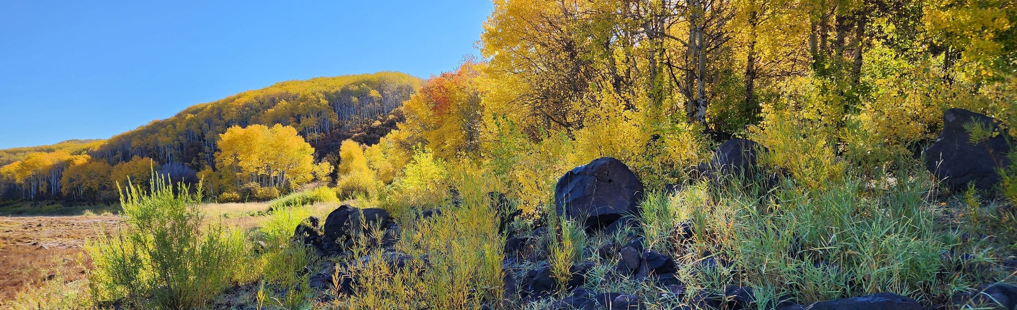 Vega Reservoir via N. 6 Road: 16 Reviews, Map - Colorado | AllTrails