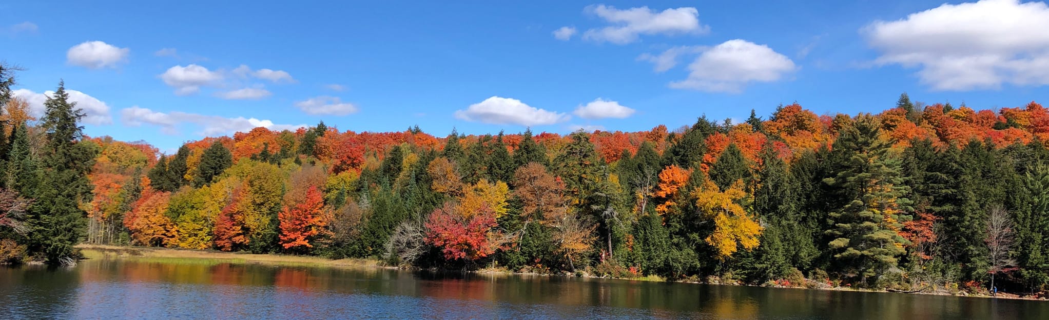 Limberlost Ski Hill Trail | Map, Guide - Ontario, Canada | AllTrails