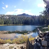 Strawberry Lake OHV Trail, California - 31 Reviews, Map | AllTrails