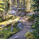 Hoffer Lakes Trail, Oregon - 95 Reviews, Map | AllTrails