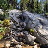 Hoffer Lakes Trail, Oregon - 95 Reviews, Map | AllTrails