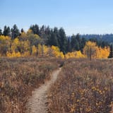 Eagle Loop, Idaho - 112 Reviews, Map | AllTrails