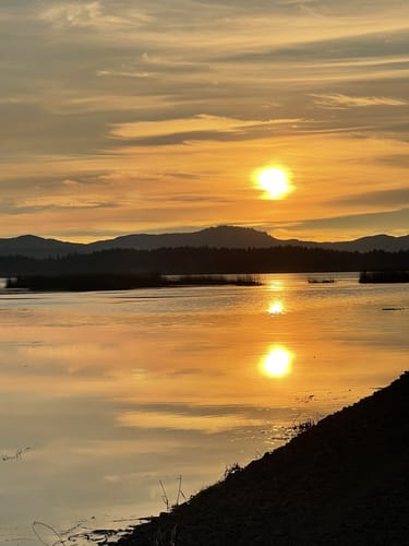 Best Hikes and Trails in Fern Ridge Wildlife Area | AllTrails