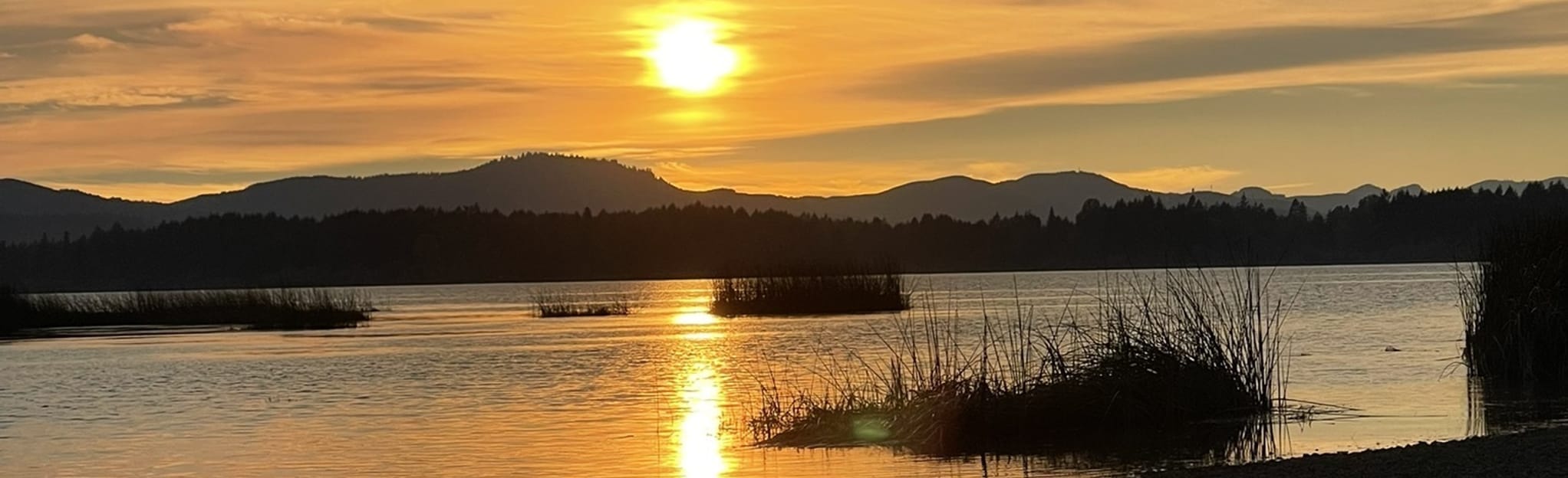 Fern Ridge Island: 11 Reviews, Map - Oregon | AllTrails