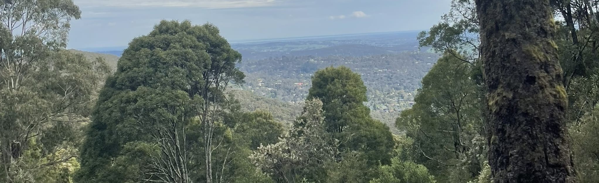 Loop to Stoney Rise Walk - Victoria, Australia | AllTrails