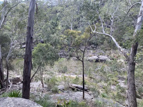 Minto Heights: Die schönsten Routen zum Wandern in 2023 | AllTrails