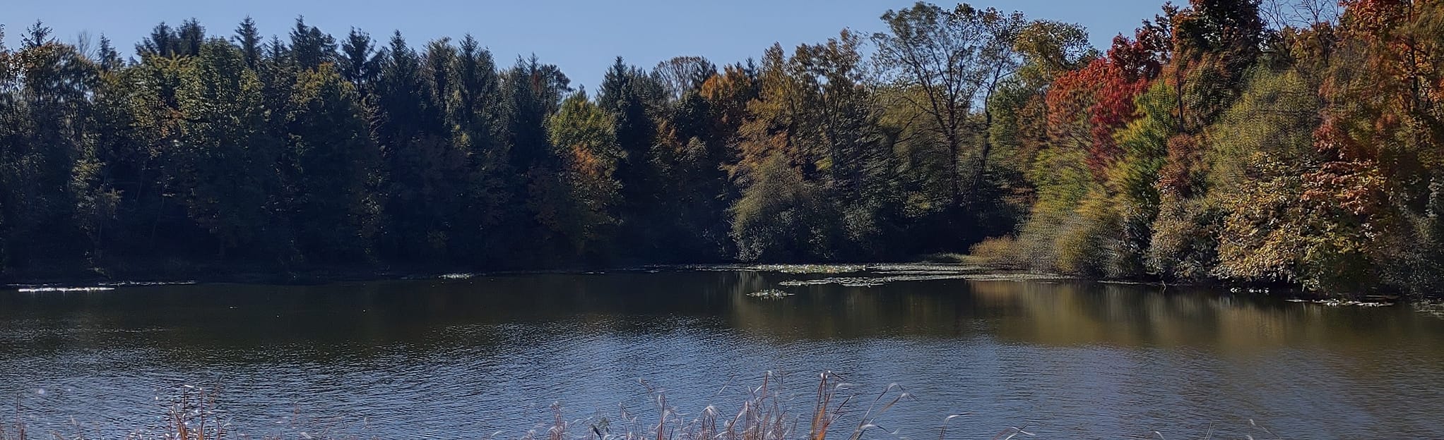 Myeerah Lower Loop - Ohio | AllTrails