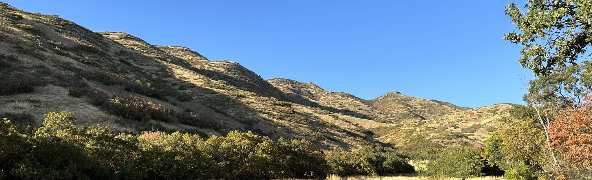 Mount Van Cott Loop - Utah#N# | AllTrails