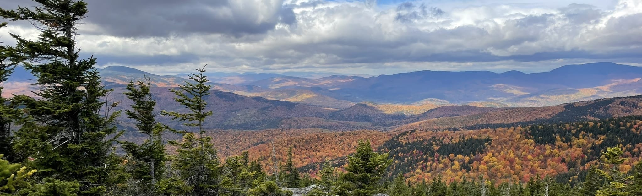 Mud Brook and Caribou Loop: 774 foto's - Maine | Wandelen - AllTrails