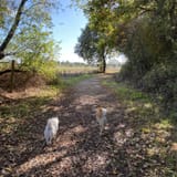 Fingringhoe Wick Wildlife Reserve Walk, Essex, England - 54 Reviews ...