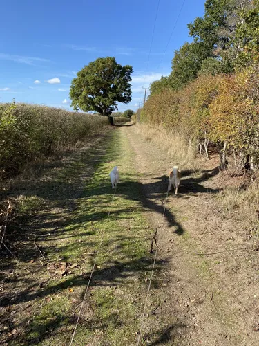 Best Hikes and Trails in Fingringhoe Wick Wildlife Reserve | AllTrails
