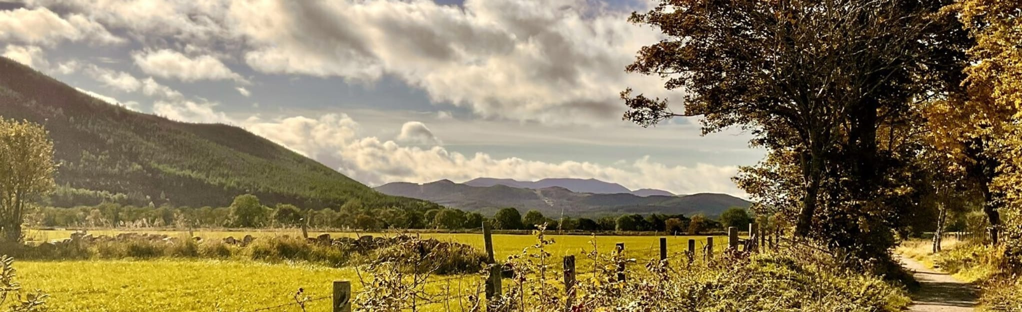 Ballater and Old Railway East: 15 Reviews, 44 Photos, Map ...