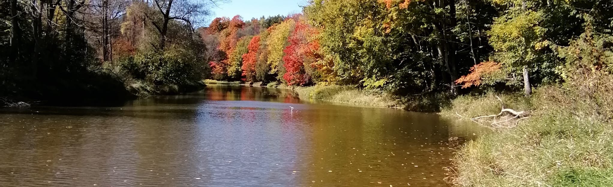 Stevenson Tract Loop, Ontario, Canada - 20 Reviews, Map | AllTrails