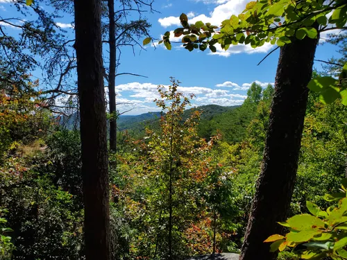 Best Hikes and Trails in Nine Times Preserve | AllTrails