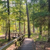 Ratcliff Lake Trail, Texas - 242 Reviews, Map | AllTrails