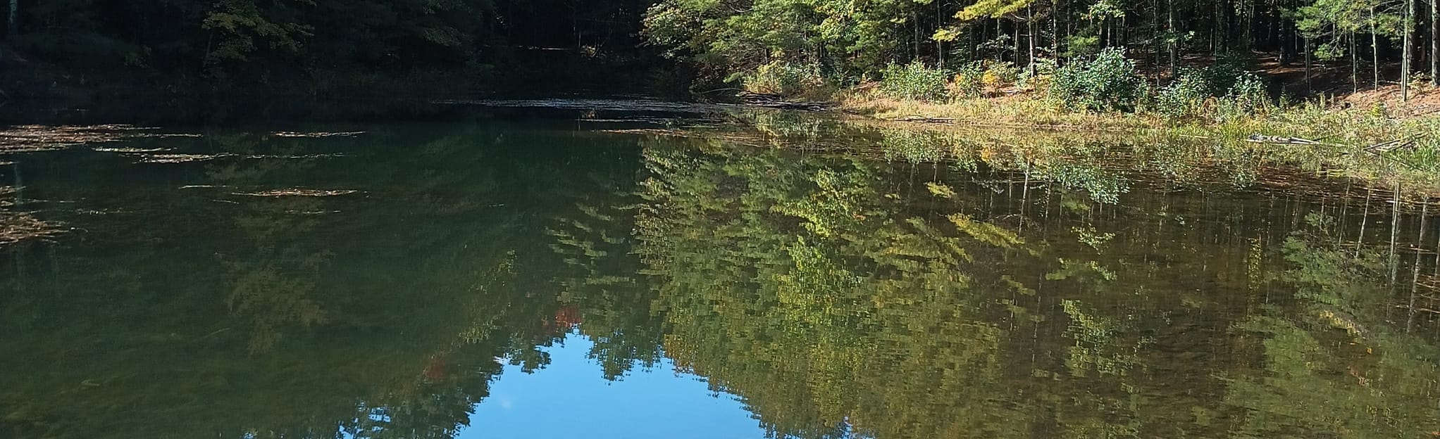 Arbutus Park and Raven Rookery Trail Loop , Massachusetts - 514 Reviews ...