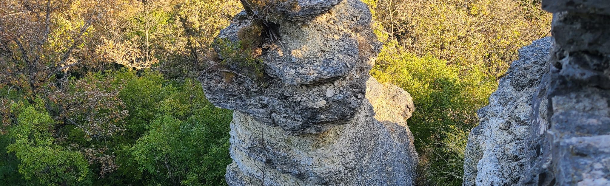 Pulpit Rock Overlook via Yggdrasil Loop: 24 Reviews, Map - Iowa | AllTrails