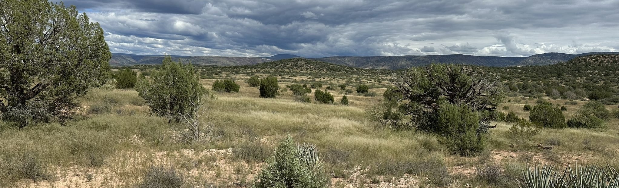 Elmore Wash from Forest Glen Trailhead, Arizona - 31 Reviews, Map ...