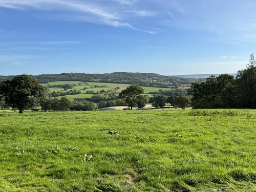 Best 10 Hikes and Trails in Blackdown Hills Area of Outstanding Natural ...