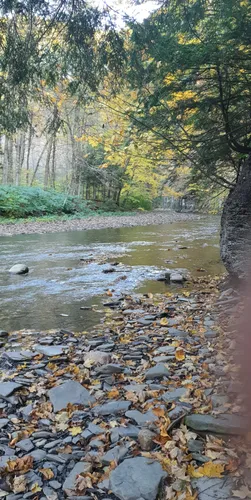 Best Kid Friendly Trails in Adams | AllTrails