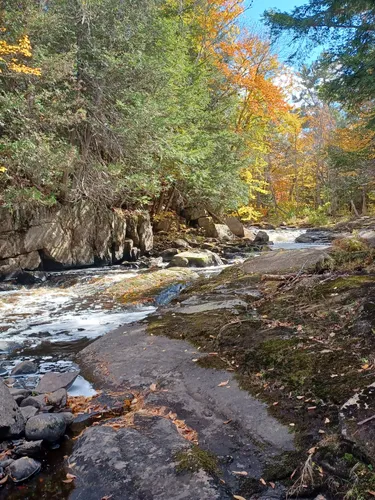 Best Hikes and Trails in Big Pokiok Nature Park | AllTrails