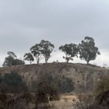 Hansen Dam Bike Path Trail, California - 513 Reviews, Map | AllTrails