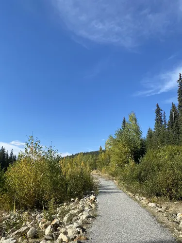 10 Best Trails and Hikes in Rossland | AllTrails