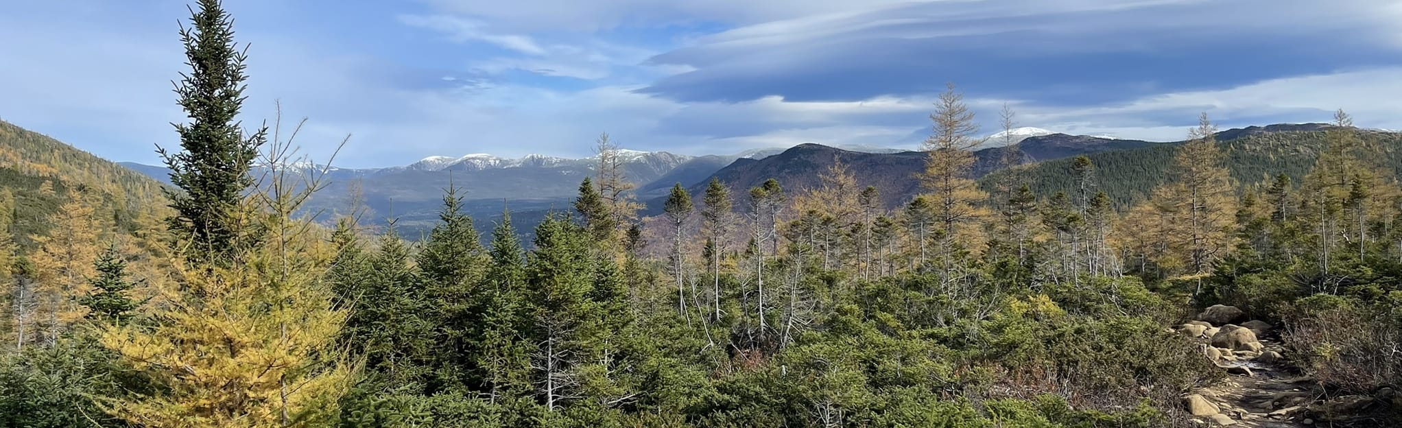 Mont Albert Loop: 711 Reviews, Map - Quebec, Canada | AllTrails