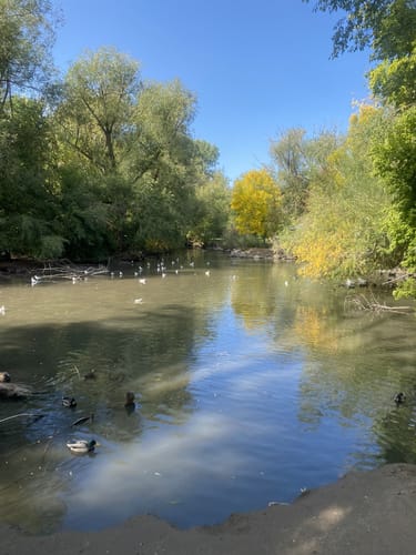 Best Hikes and Trails in Layton Commons Park | AllTrails