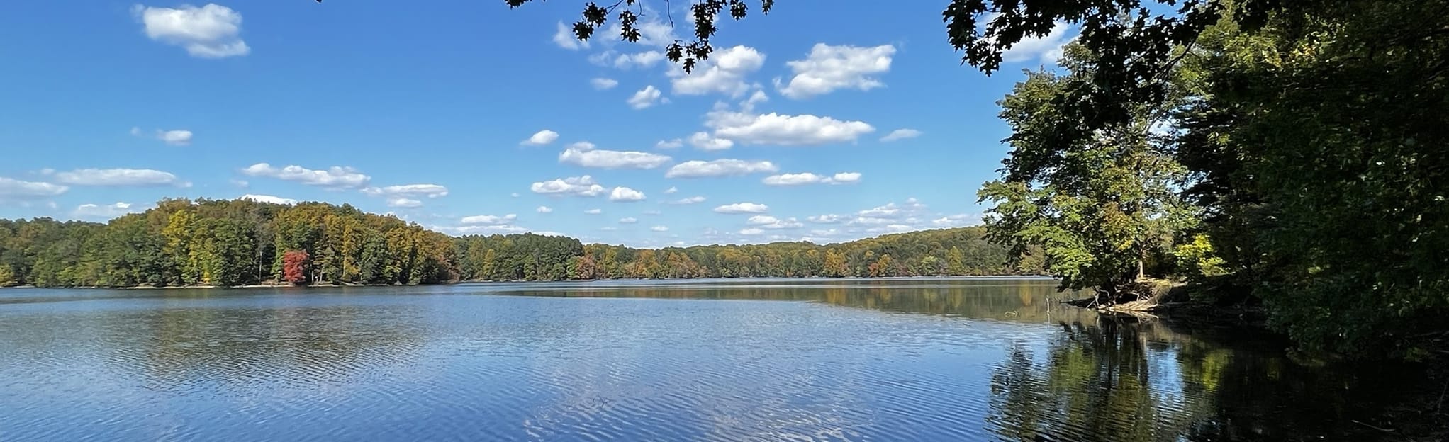 Liberty Reservoir Trail, Maryland - 99 Reviews, Map | AllTrails