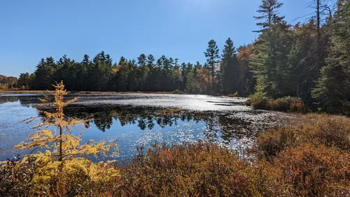 Best Kid Friendly Trails in Silent Lake Provincial Park | AllTrails