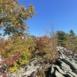 Jackson Trail, Pennsylvania - 196 Reviews, Map | AllTrails