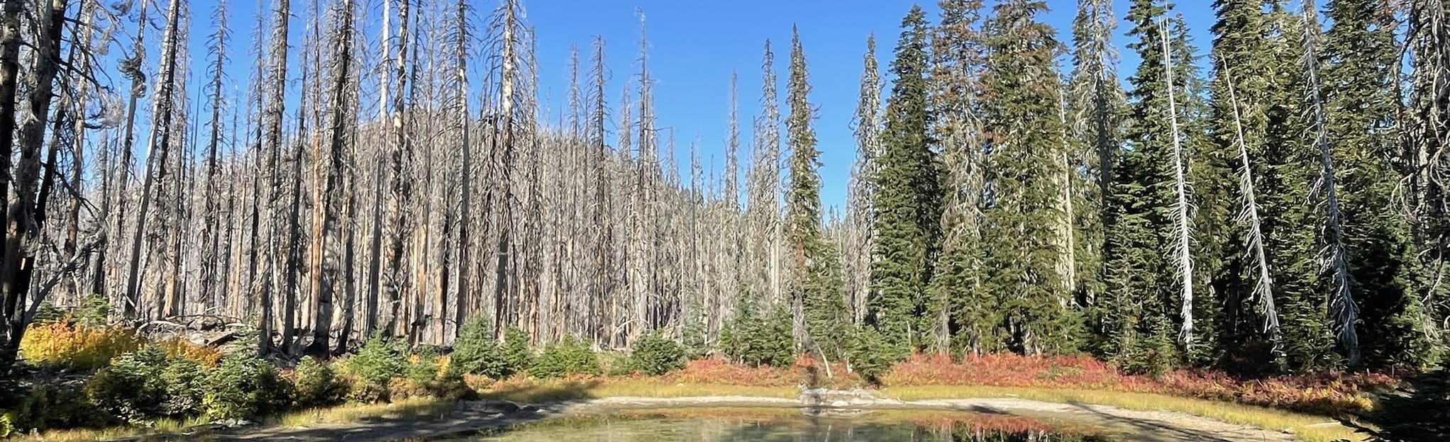 Junction Lake via East Crater Trail | Map, Guide - Washington | AllTrails