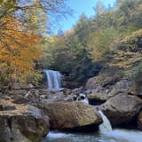 Blackwater Canyon Trail, West Virginia - 136 Reviews, Map | AllTrails