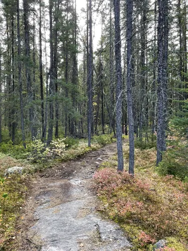 10 Best Off Road Driving Trails in Quebec | AllTrails
