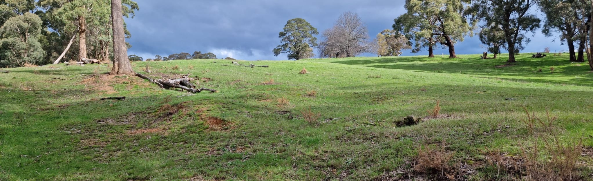 Spring Creek Loop, Victoria, Australia - 20 Reviews, Map | AllTrails