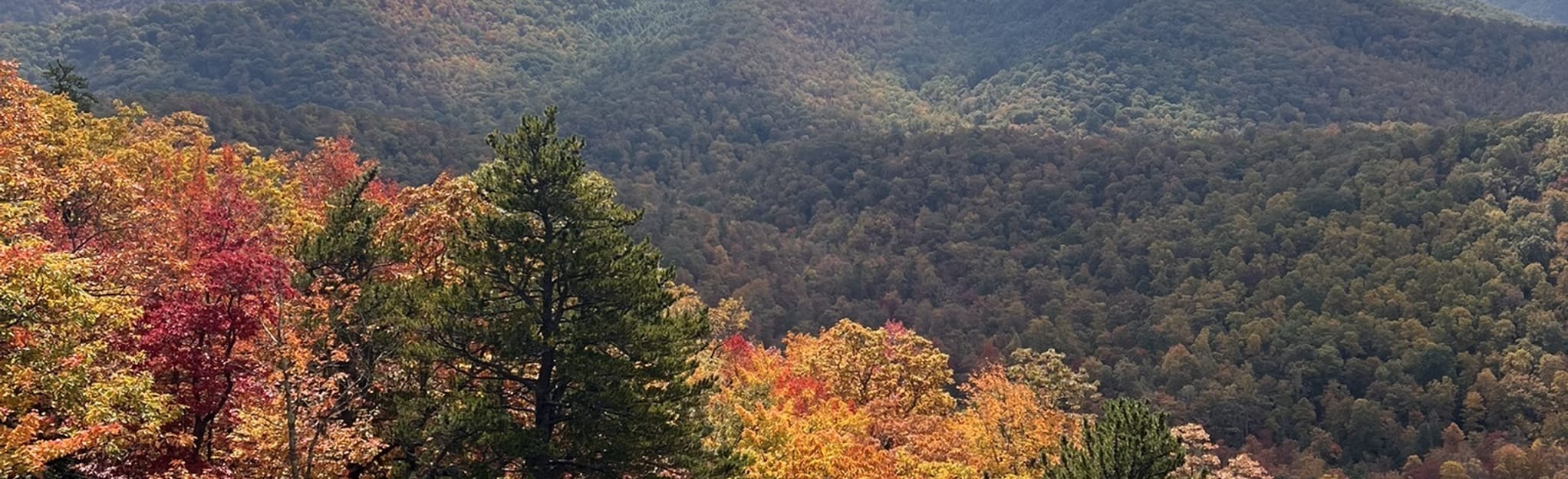 Pilot Cove and Slate Rock Loop: 157 Reviews, Map - North Carolina ...