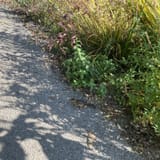 High Park Loop, Ontario, Canada - 874 Reviews, Map | AllTrails
