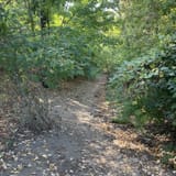 High Park Loop, Ontario, Canada - 874 Reviews, Map | AllTrails