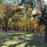 High Park Loop, Ontario, Canada - 874 Reviews, Map | AllTrails