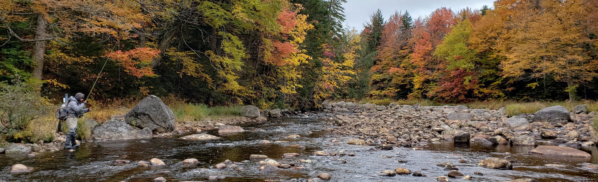 Muskrat Lake Trail: 4 Reviews, Map - New York | AllTrails