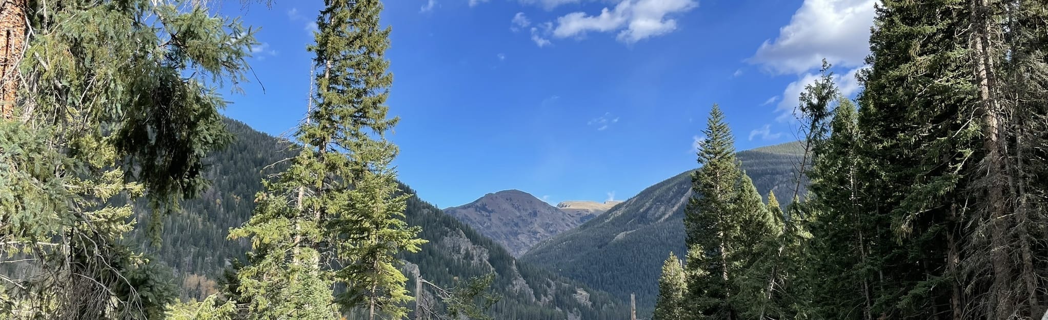 Monarch Lake Loop Trail: 1865 Reviews, Map - Colorado | AllTrails