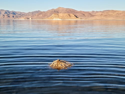 Best Hikes and Trails in Pyramid Lake Paiute Reservation | AllTrails