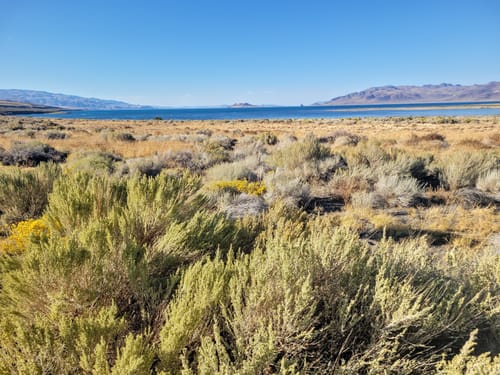 Best Hikes and Trails in Pyramid Lake Paiute Reservation | AllTrails